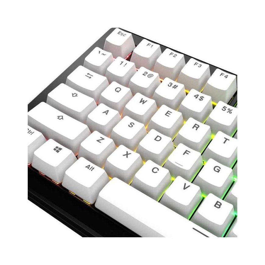 Keyboard Glorious GPBT Basics Keycaps, ANSI Layout (US), PBT, Dye-Sub ...