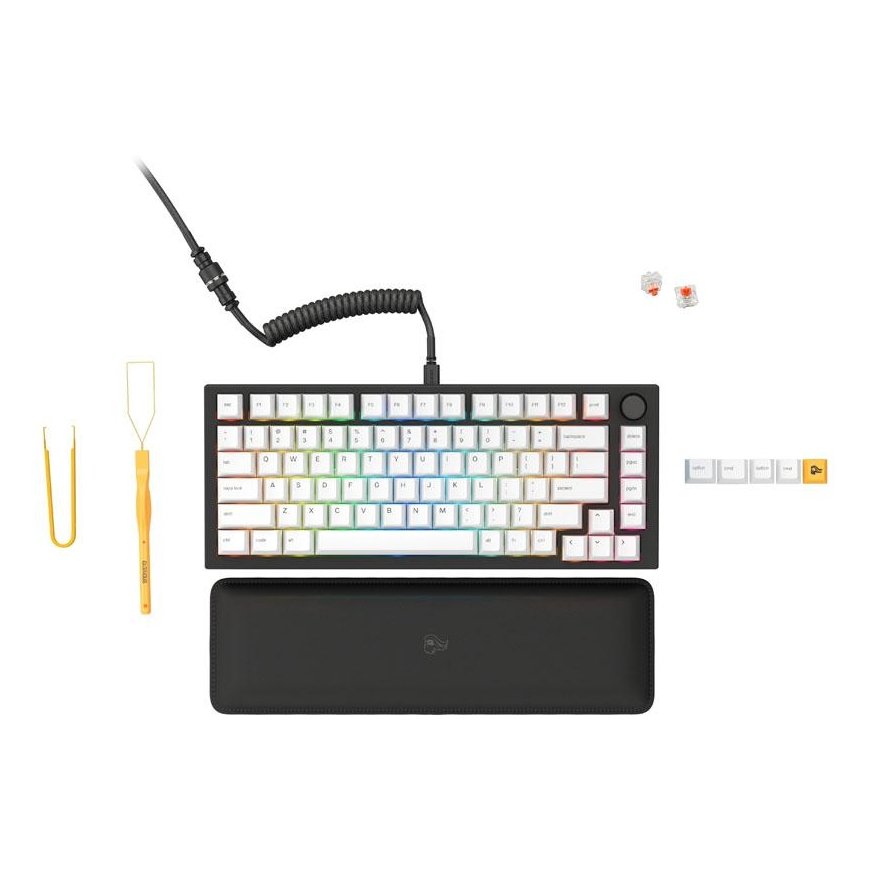 Glorious GMMK Pro Black Slate 75% TKL Keyboard - Predesigned, ANSI ...